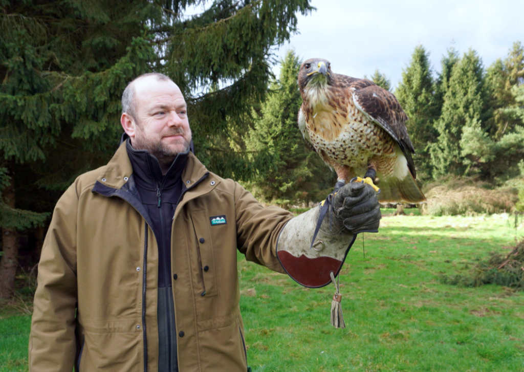 Gallery Of Our Falconry Experience Day Images Falconry Experience London